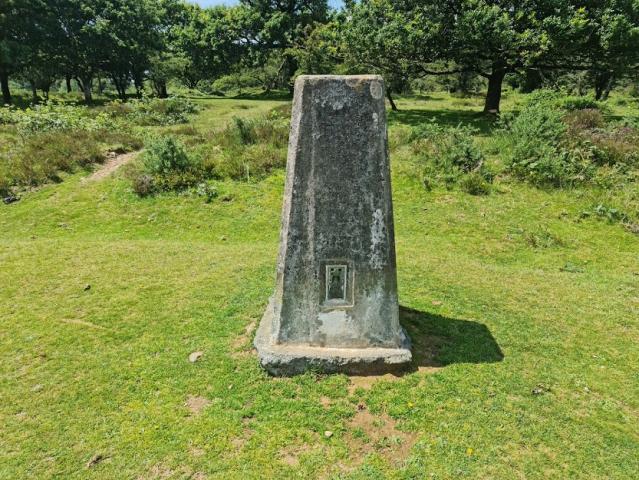 T:UK - Roborough Down