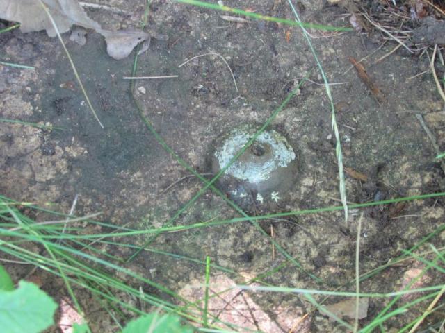 T:UK - M56 Junction 5