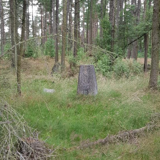 T:UK - Hutton Mulgrave Moor