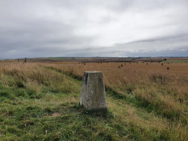 T:UK - Buckton Cliffs