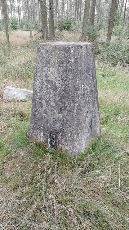 T:UK - Hutton Mulgrave Moor