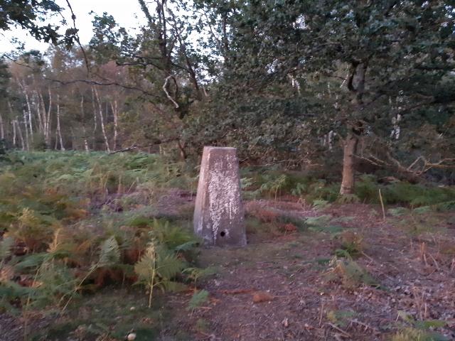 T:UK - Broxhead Common