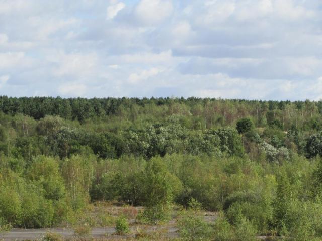 T:UK - Bevercotes Colliery No 2 Shaft