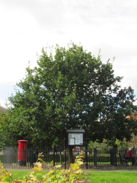 T:UK - Winwick Asylum Tower Vane