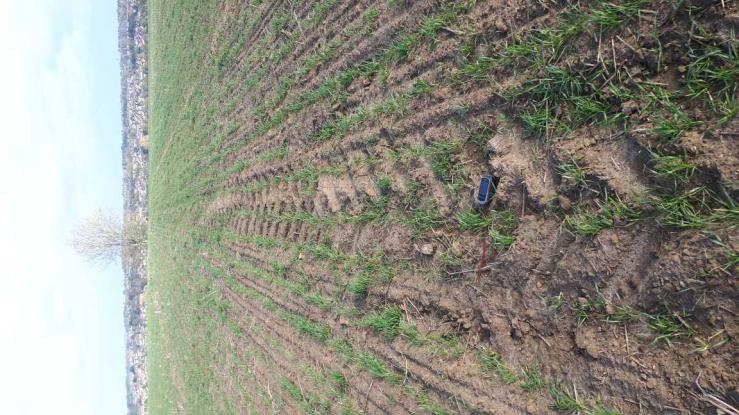 T:UK - Dallington Grange