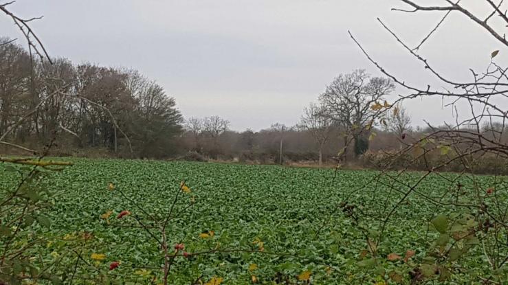 T:UK - Seething Water Tower RAF Station
