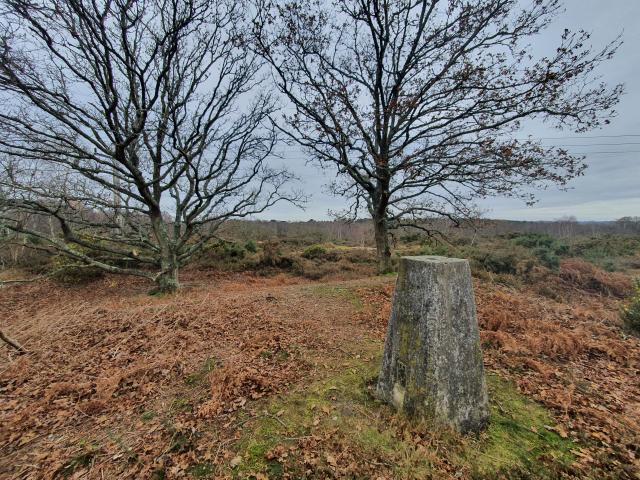 T:UK - Broxhead Common