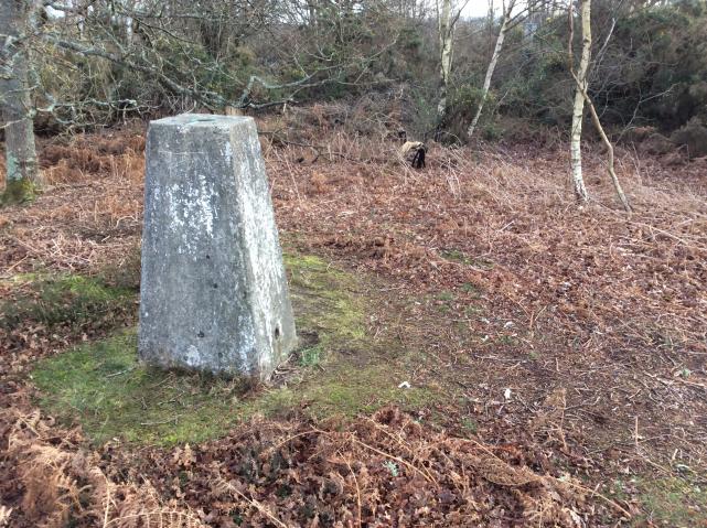 T:UK - Broxhead Common