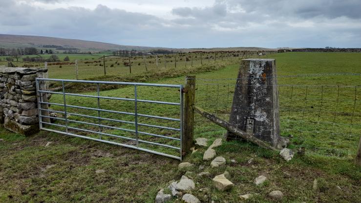 T:UK - Crina Bottom Farm