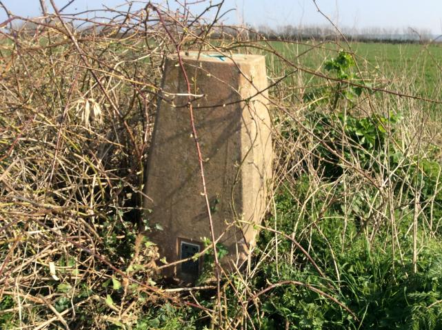 T:UK - Shotley Hall Farm