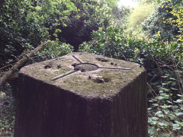 T:UK - Fort Farningham