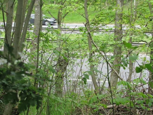 T:UK - Stainsby Hall Farm