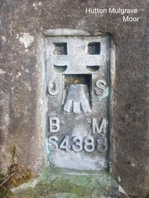 T:UK - Hutton Mulgrave Moor