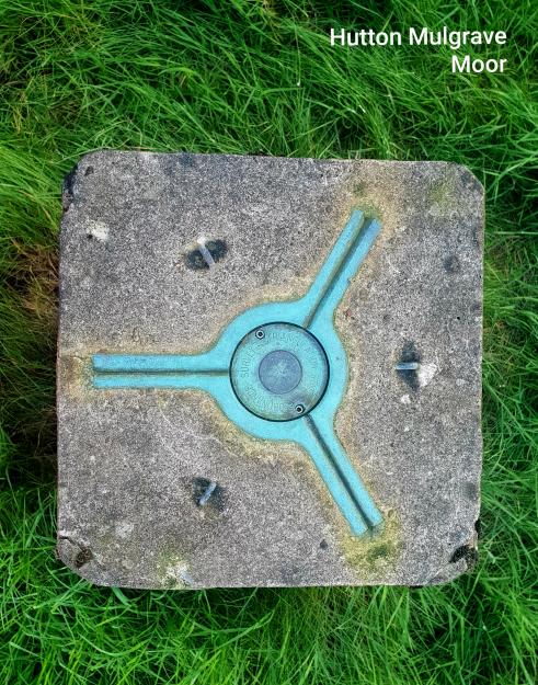 T:UK - Hutton Mulgrave Moor