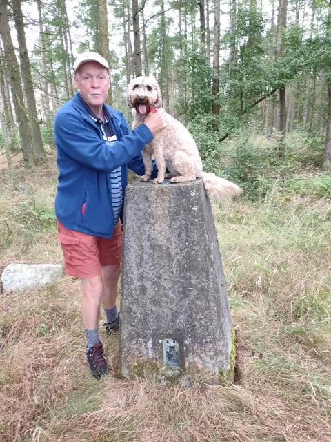 T:UK - Hutton Mulgrave Moor