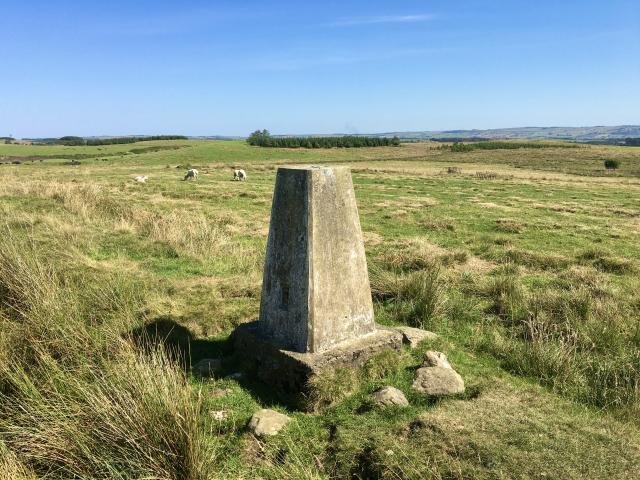 T:UK - Batey Catreen