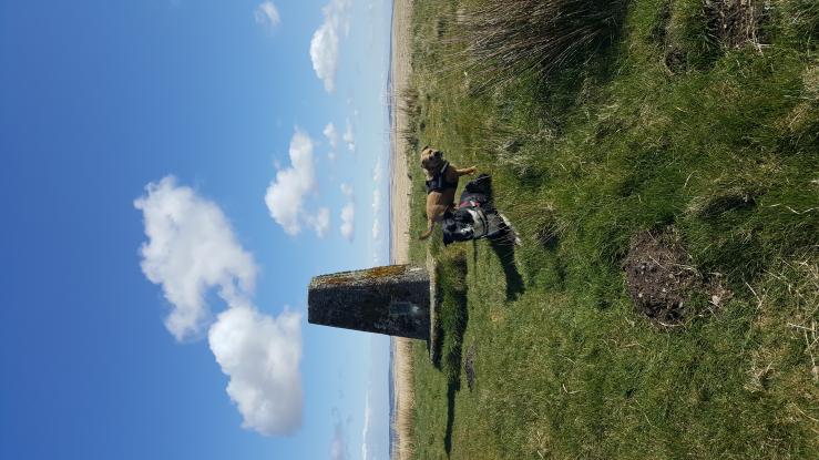 T:UK - Chains Barrow