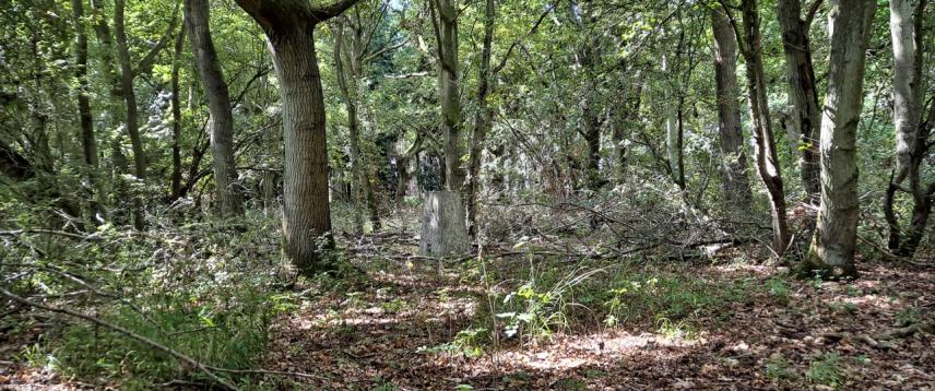 T:UK - G Spinney Field