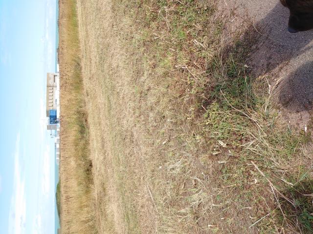 T:UK - Foreness Point