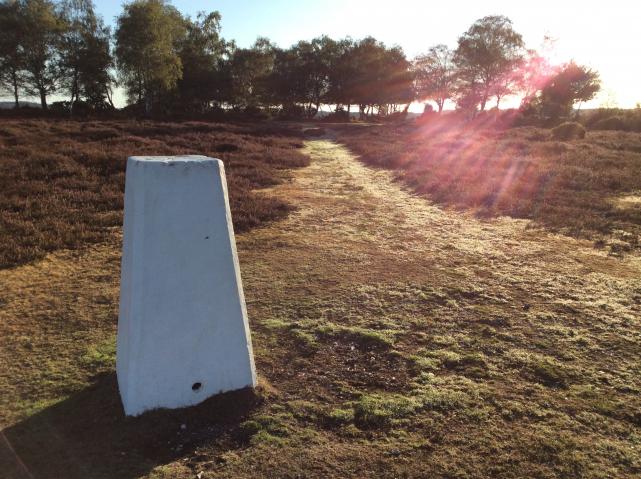 T:UK - Ibsley Common