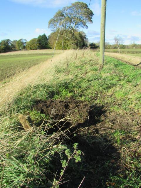 T:UK - Sniperley Farm