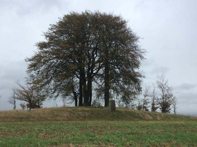 T:UK - Brightwell Barrow