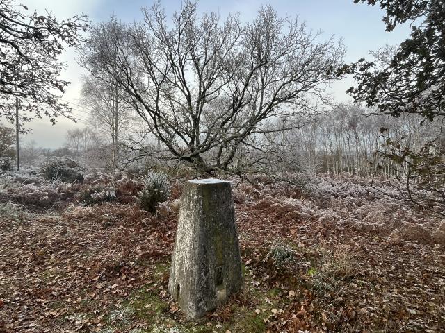 T:UK - Broxhead Common