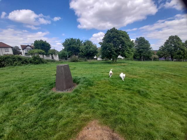 T:UK - Pollards Hill