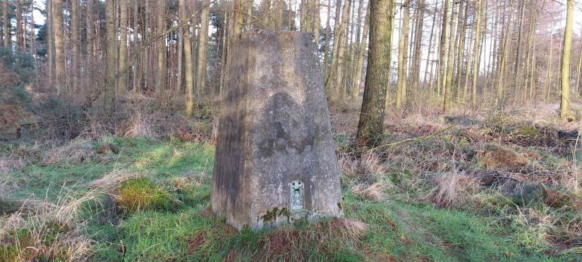 T:UK - Hutton Mulgrave Moor