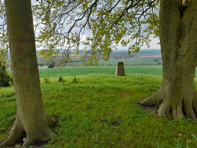 T:UK - Brightwell Barrow