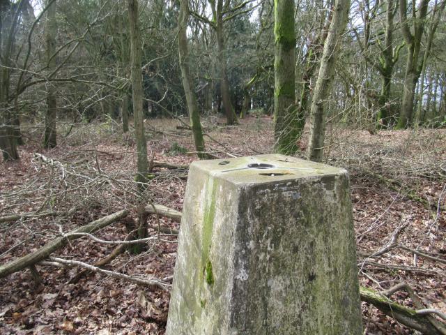 T:UK - G Spinney Field