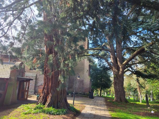 T:UK - Edwalton Church Tower Centre
