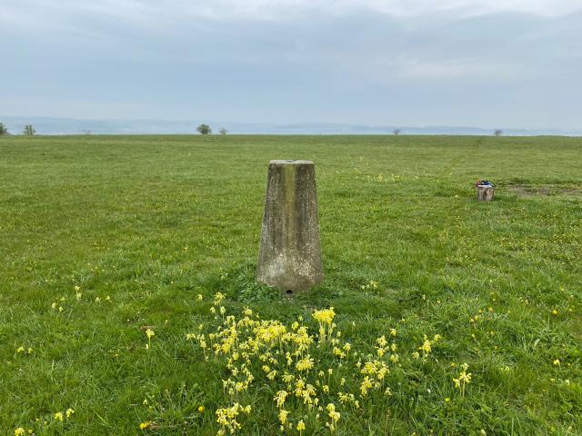 T:UK - Codford Circle