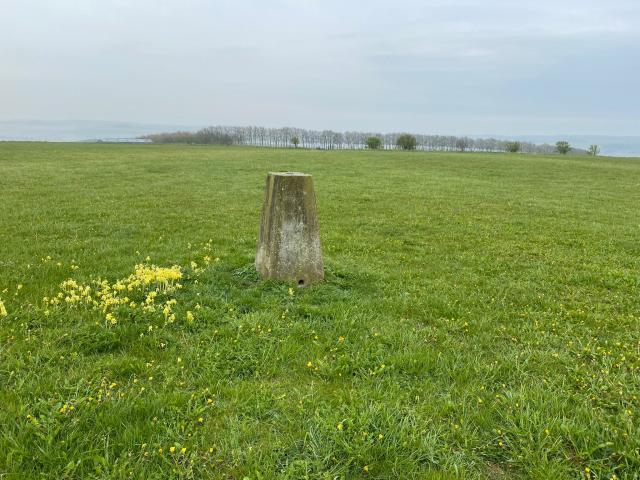 T:UK - Codford Circle