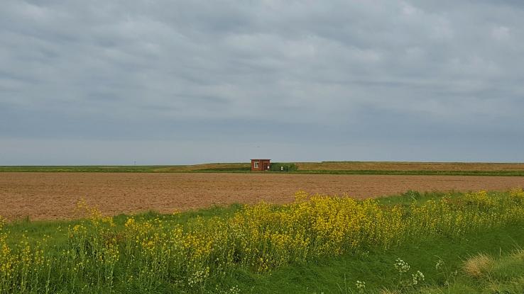 T:UK - Wainfleet Control