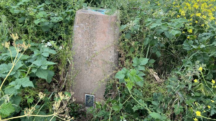 T:UK - Shotley Hall Farm