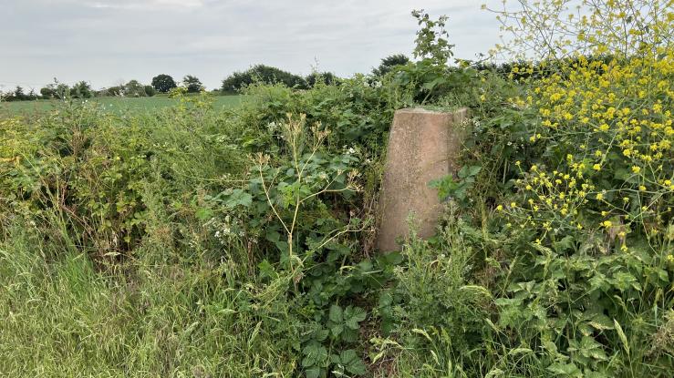 T:UK - Shotley Hall Farm