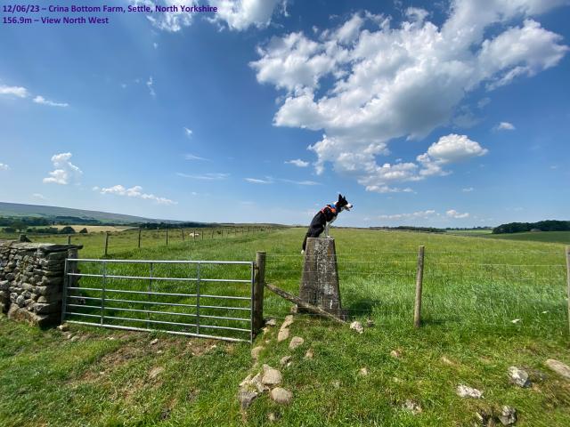 T:UK - Crina Bottom Farm
