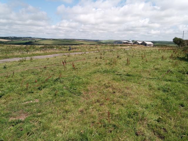 T:UK - Cleave Camp Water Tower Centre