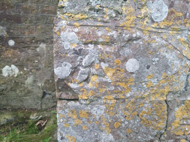 T:UK - Pyworthy Church Tower