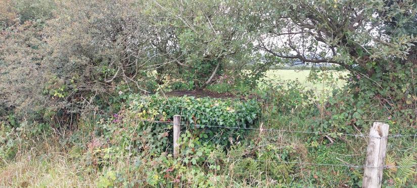 T:UK - Castle Canyke