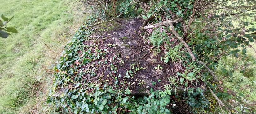 T:UK - Castle Canyke