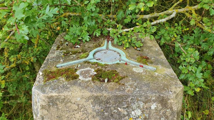 T:UK - Weekley Hall Wood