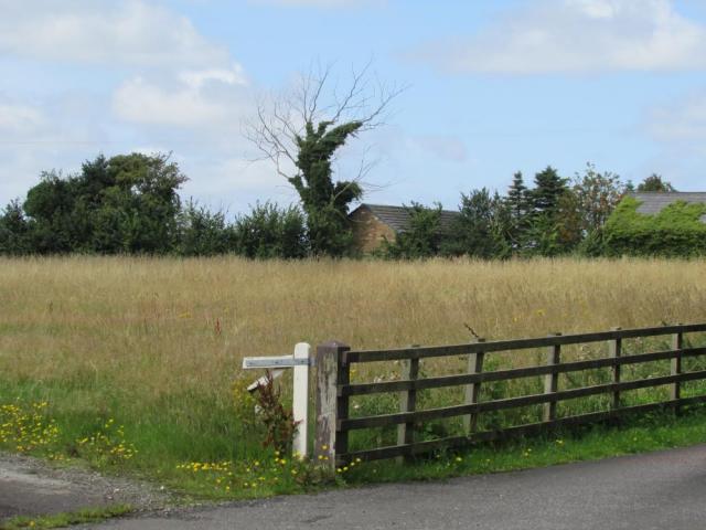 T:UK - Beech Tree Farm