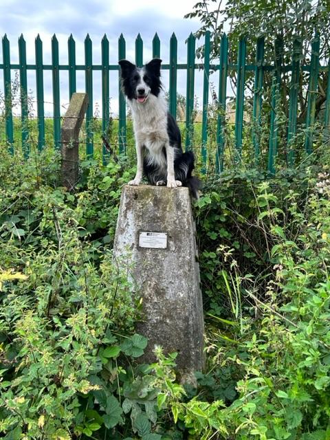 T:UK - Garforth Cliff