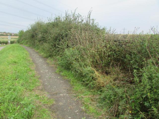T:UK - Inkersall