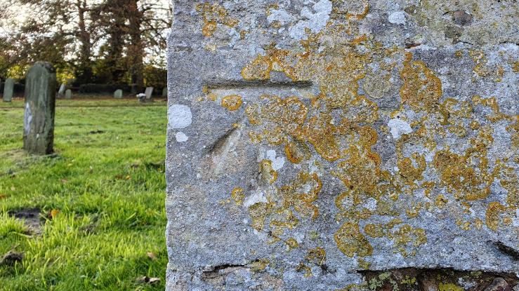 T:UK - Ashill Church Tower Vane