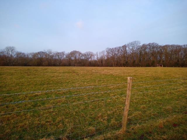 T:UK - Coldharbour Farm