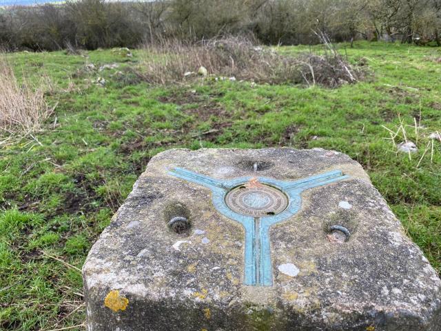 T:UK - Cannington Park