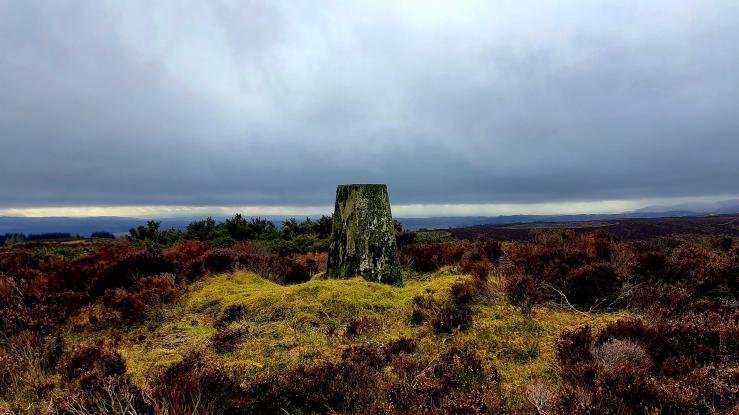 T:UK - Cochrage Muir